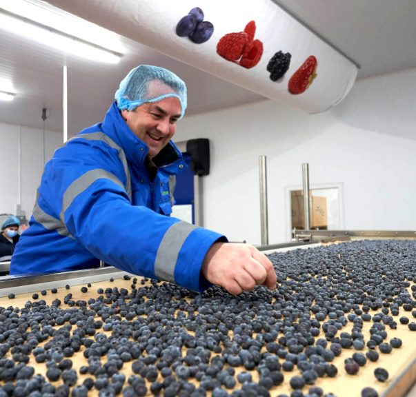 Contact us - Chambers